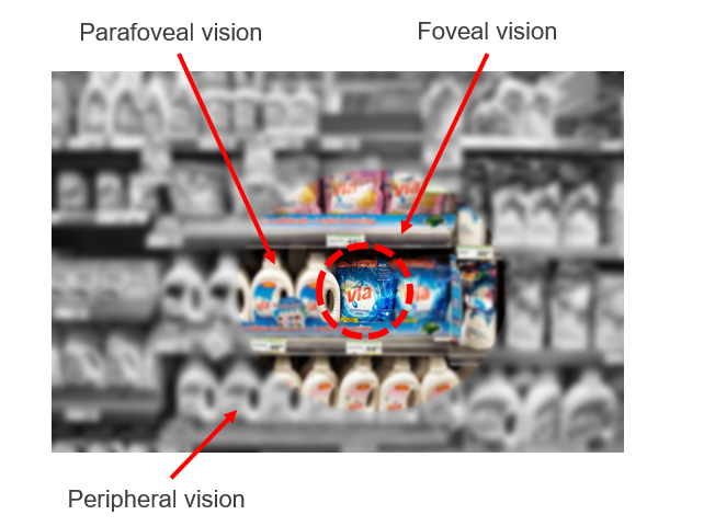 Why do we move our eyes?