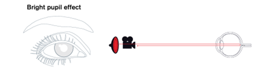 Dark and Bright pupil tracking