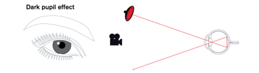 Dark and Bright pupil tracking